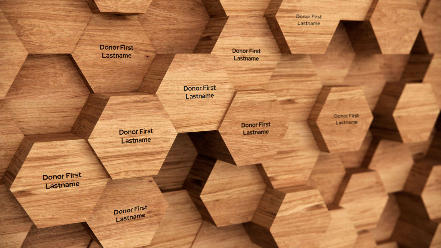 The Badger Effect - School of Computer, Data & Information Sciences